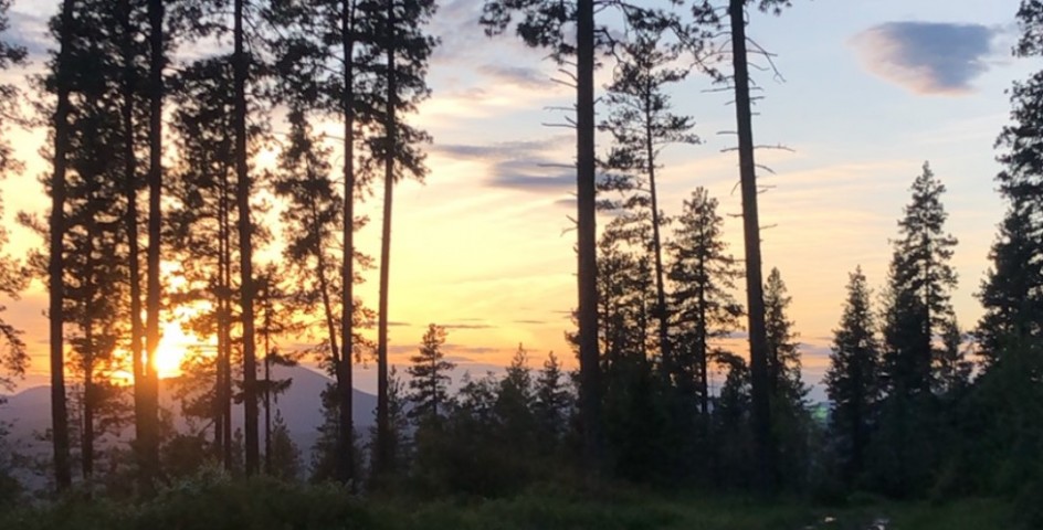 Files by Kaylee Fink